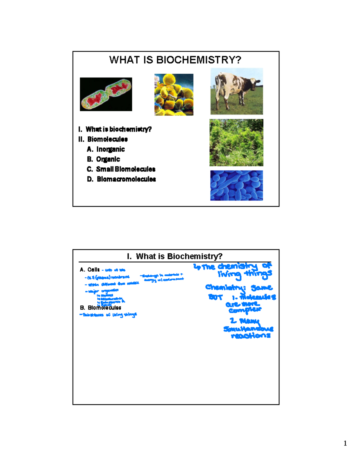 Basic Bio Chemistry - Bio chem lecture 1 notes - WHAT IS BIOCHEMISTRY ...