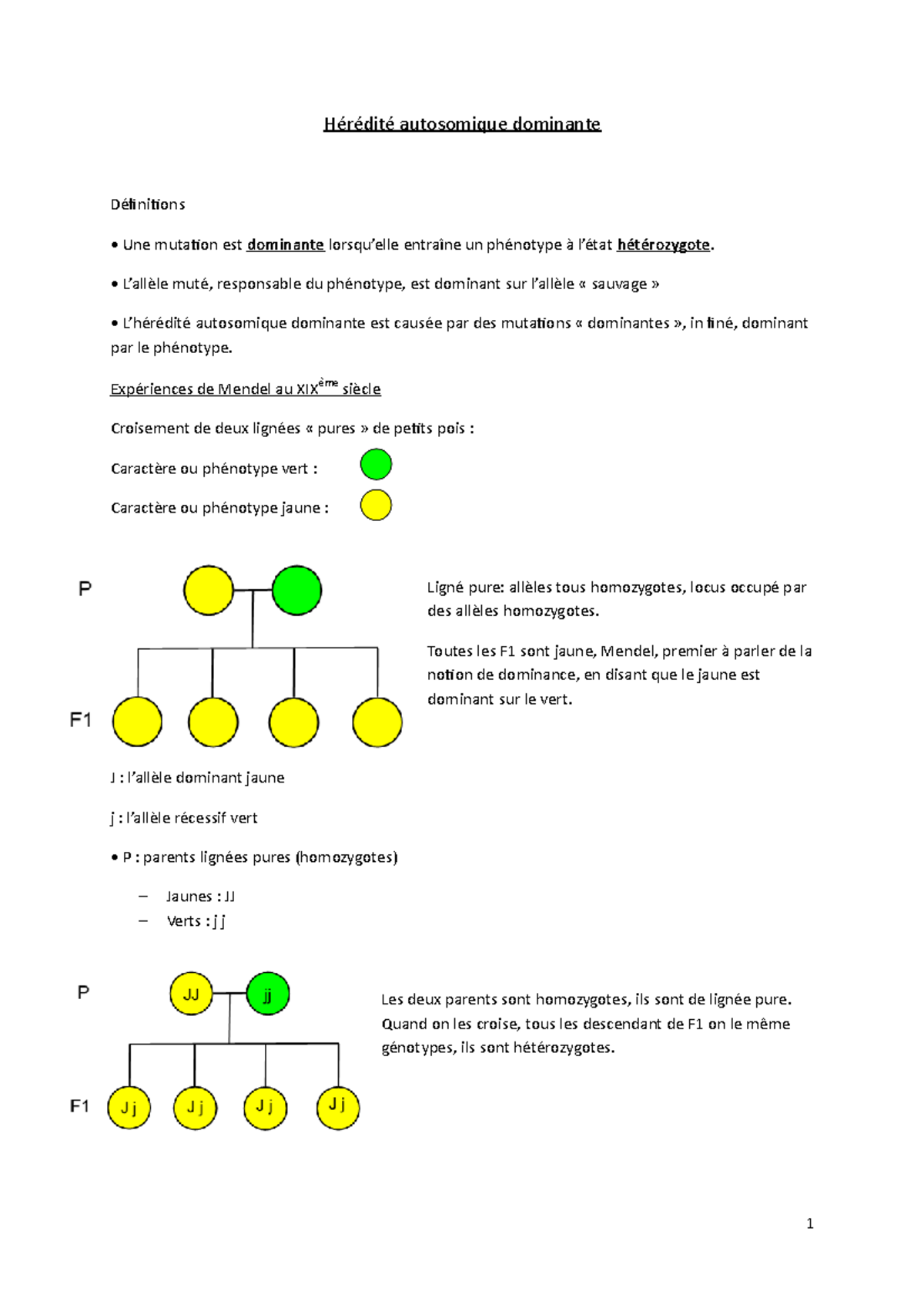 Hérédité autosomique dominante - Hérédité autosomique dominante ...