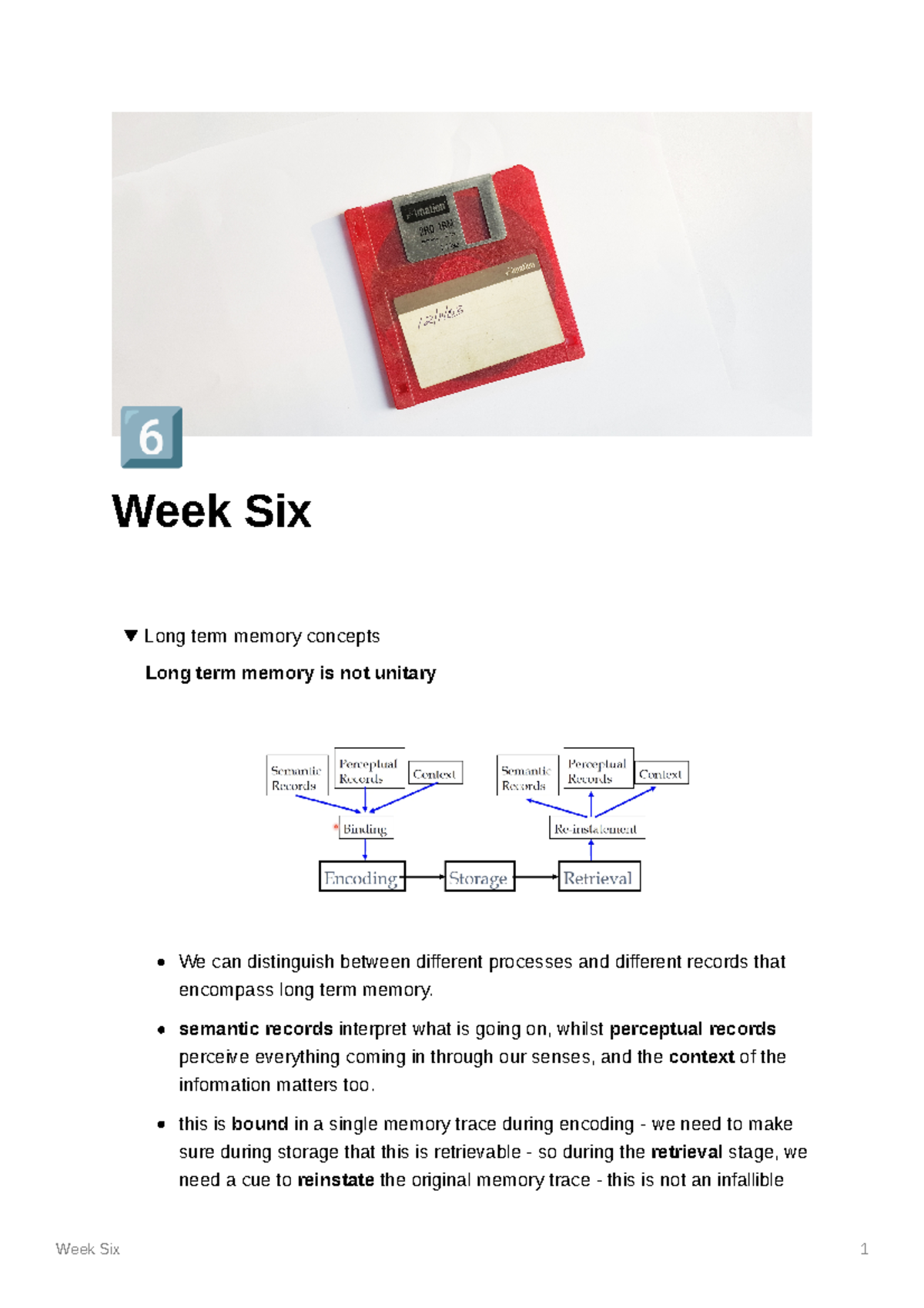 Week Six Cog 3rd Year Cognition Lecture And Reading Notes In Depth 9468