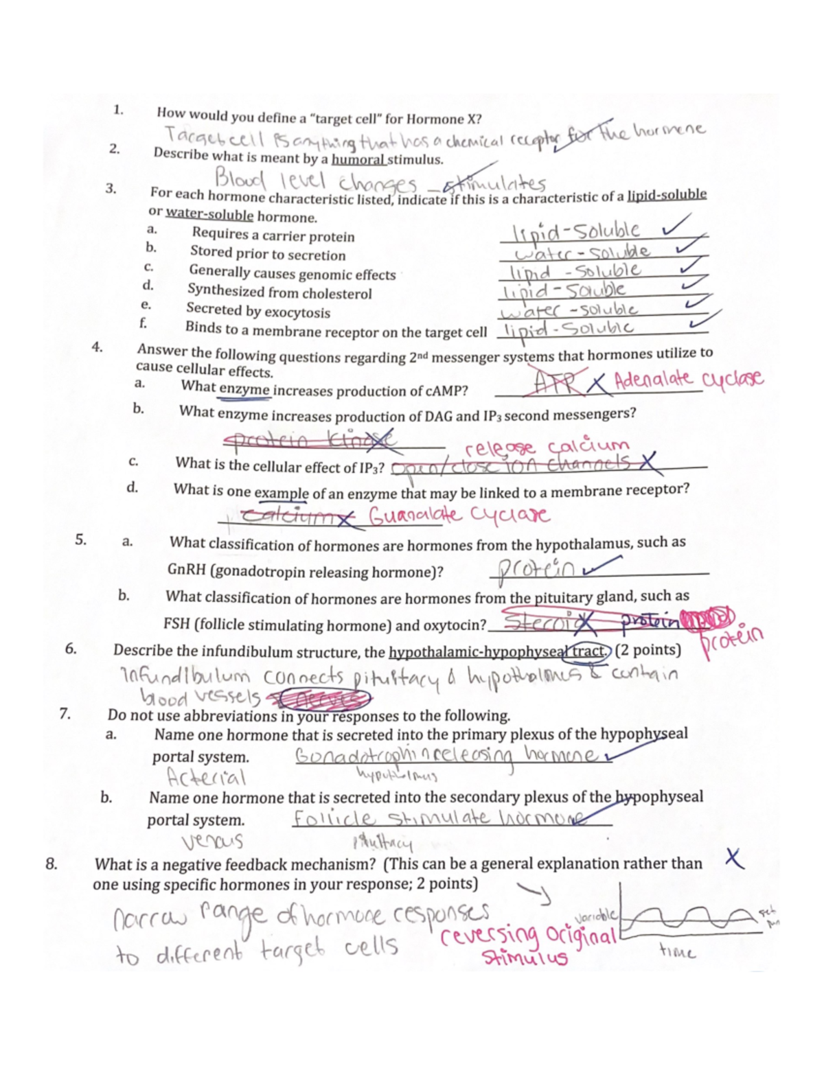 Endocrine System Quiz - BIOL 430 - Studocu