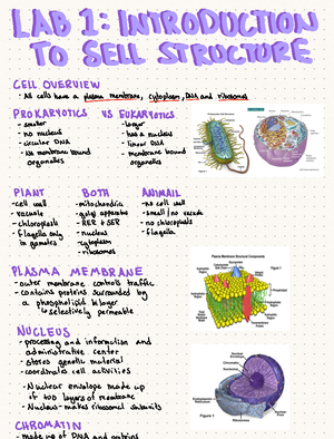 Lab 8 - Good lecture notes with lots of information and detailed photos ...