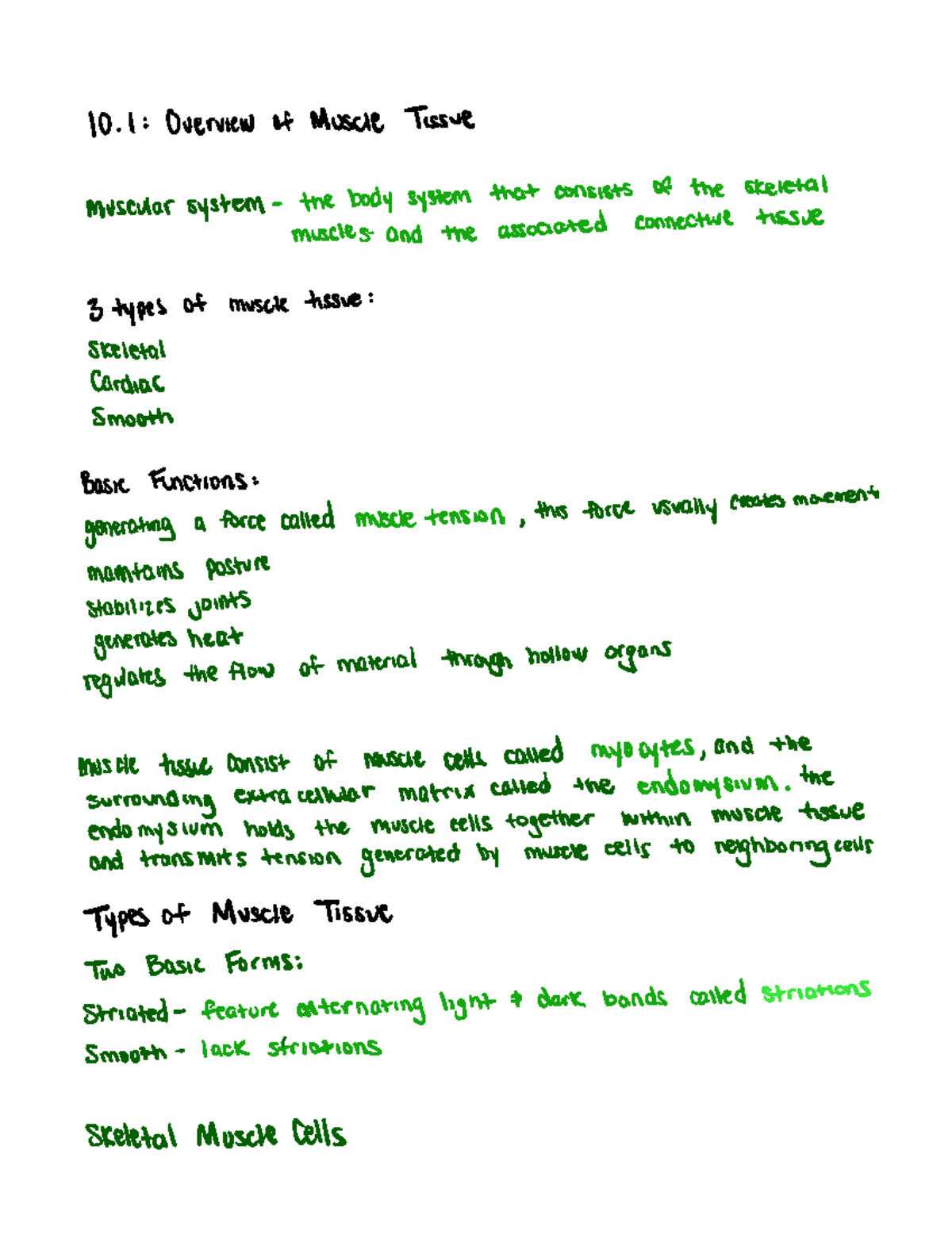 Chapter 10 - Muscle Tissue and Physiology - 10 1 Overview of Muscle ...