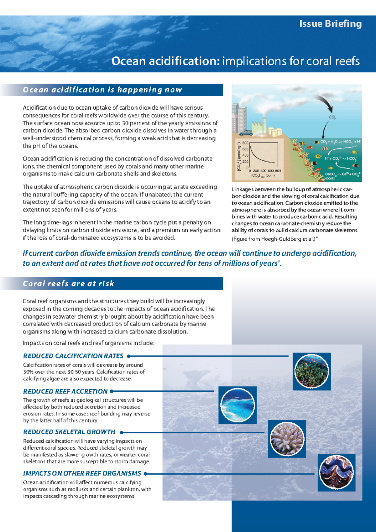 Ocean acidification implications for coral reefs - The surface ocean ...