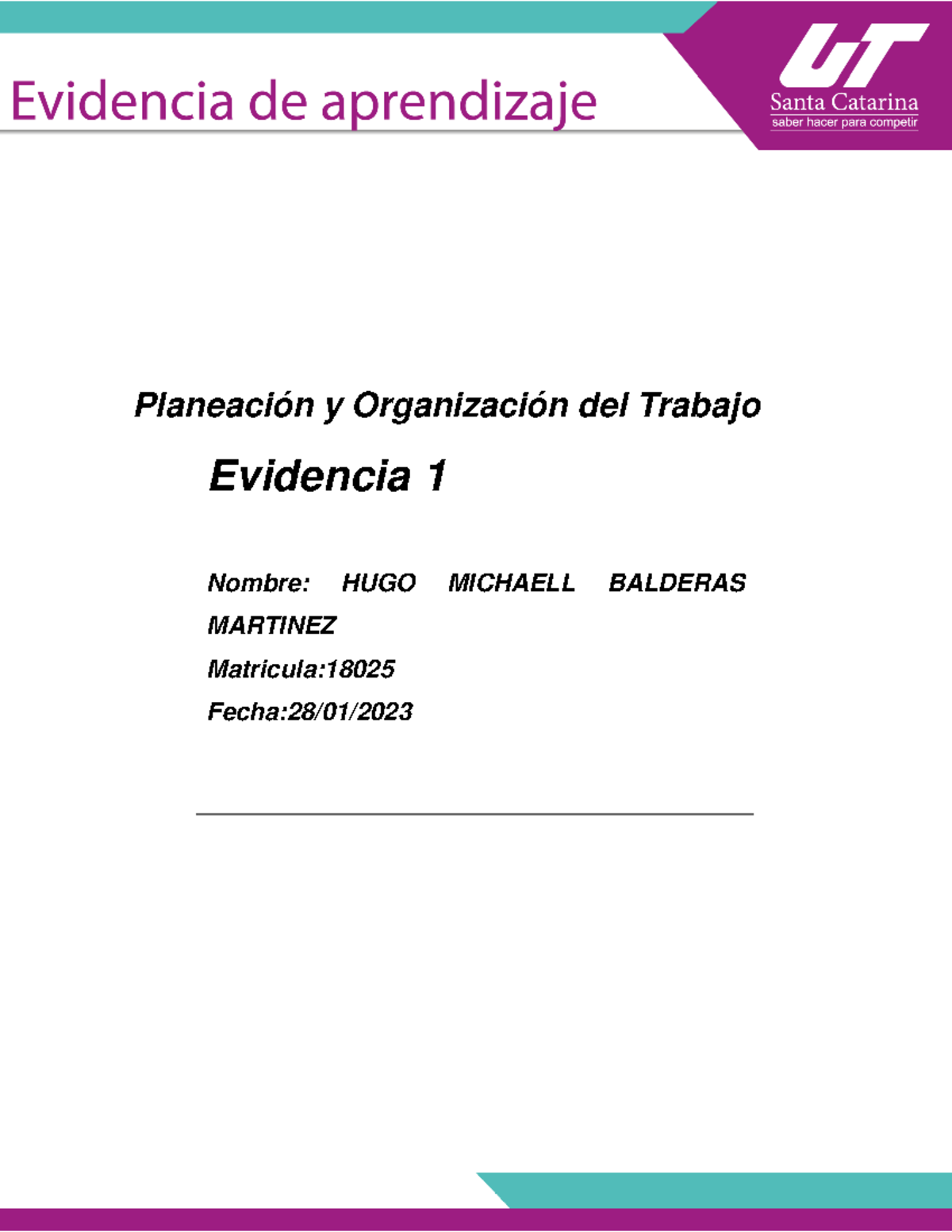 Evi1-POT-hmbm - apuntes - Planeación y Organización del Trabajo ...