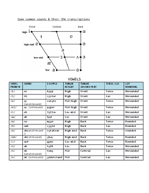 Acoustic Characteristics of Phonemes - /p/ vs /b/ (waveforms - air ...