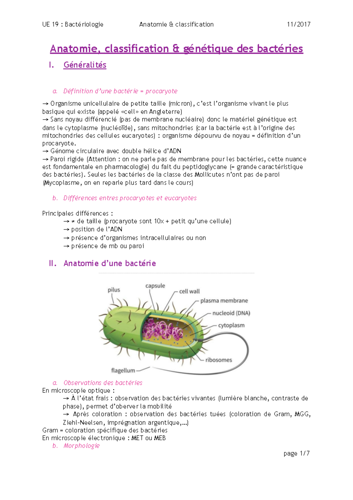 1- Anatomie des bactéries - UE 19 : Anatomie classification Anatomie ...