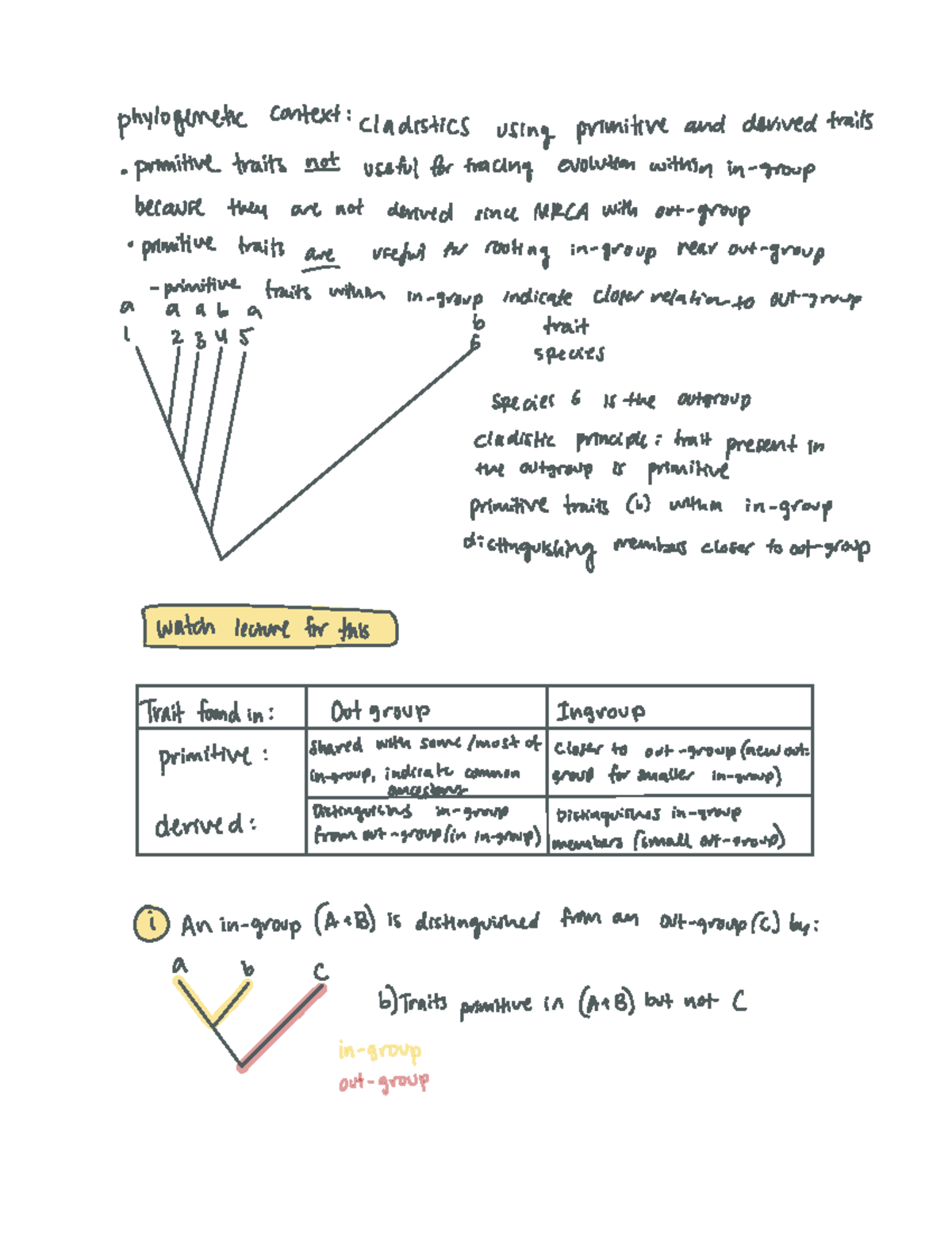 Lecture 12 early hominins - phylogenetic context cladistics using ...