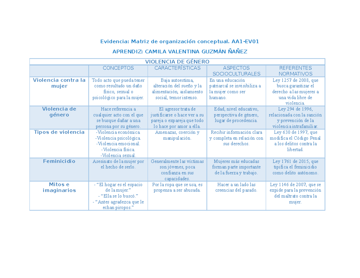 Matriz conceptual VG - Evidencia: Matriz de organización conceptual ...