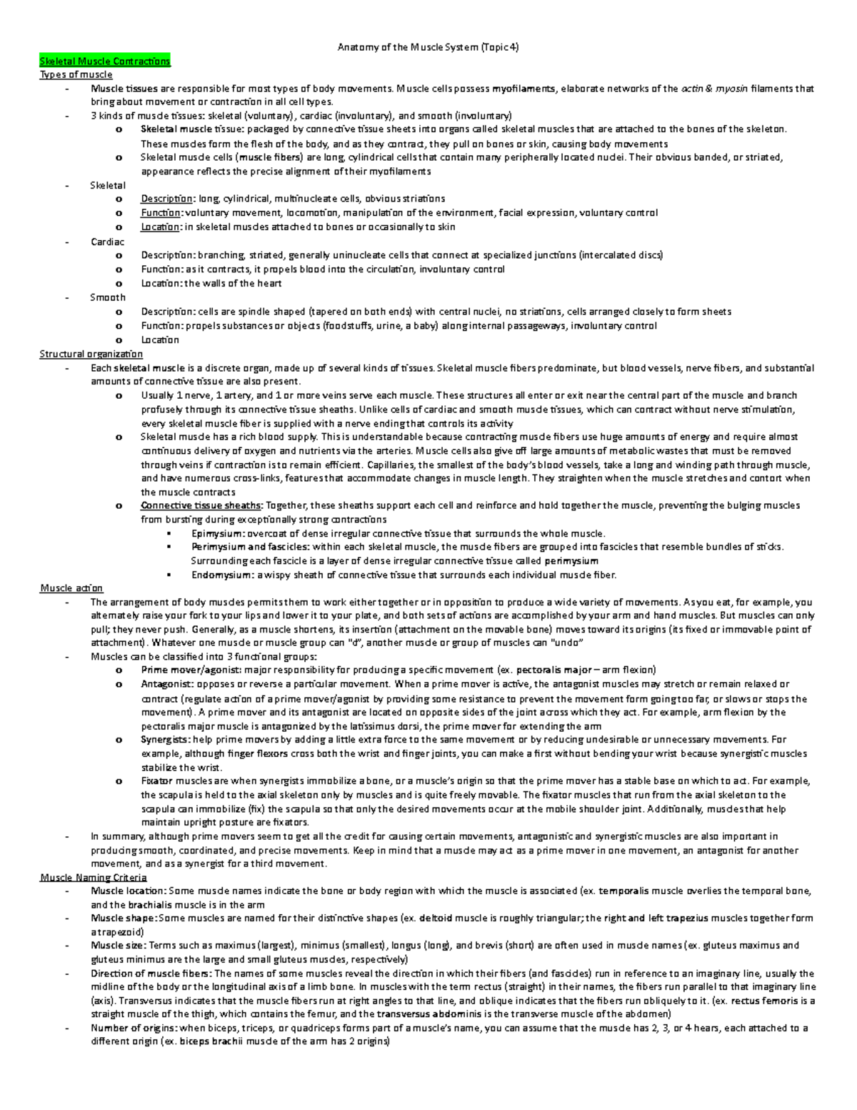 LEC 7 Anatomy of the Muscle System - Anatomy of the Muscle System ...