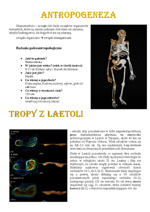 Teorie na temat rozwoju mowy u człowiekowatych prezka - Teorie na temat ...