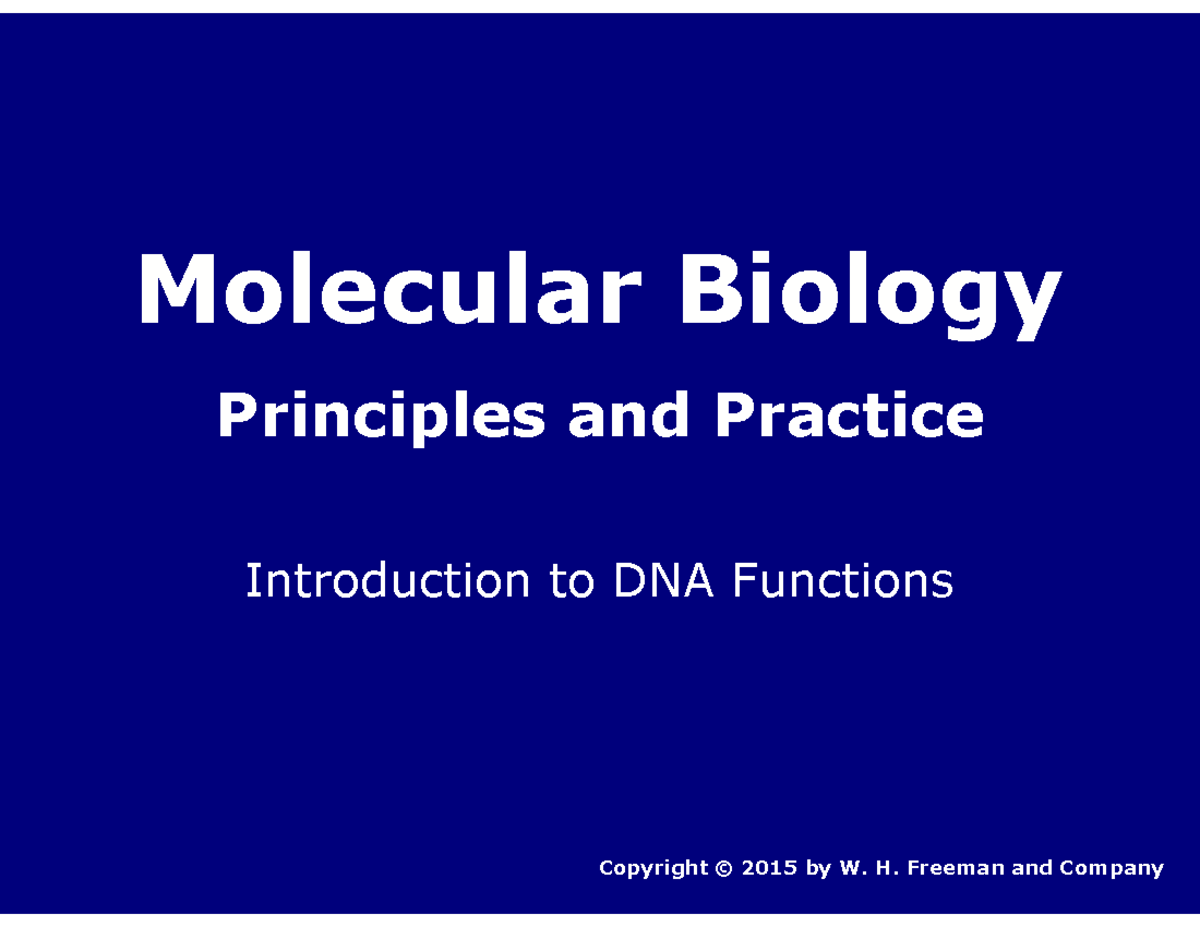 L2bio - Nothing much - Molecular Biology Principles and Practice ...