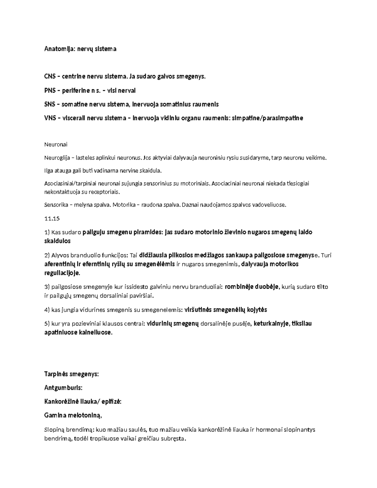 Anatomija, nervu sistema, užrašai - Anatomija: nervų sistema CNS ...