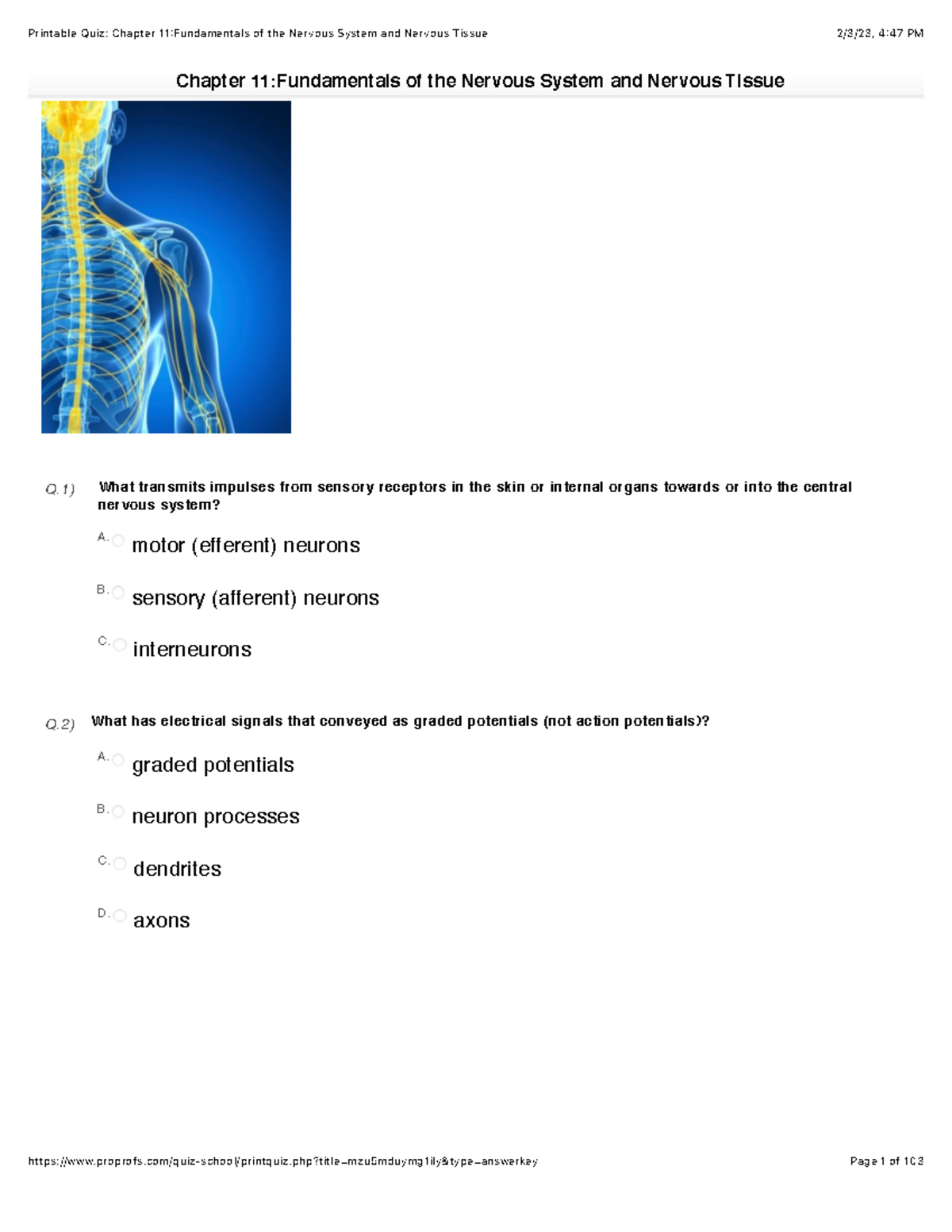 Printable Quiz: Chapter 11:Fundamentals of the Nervous System and Nervous Tissue 9 - Q) What ...