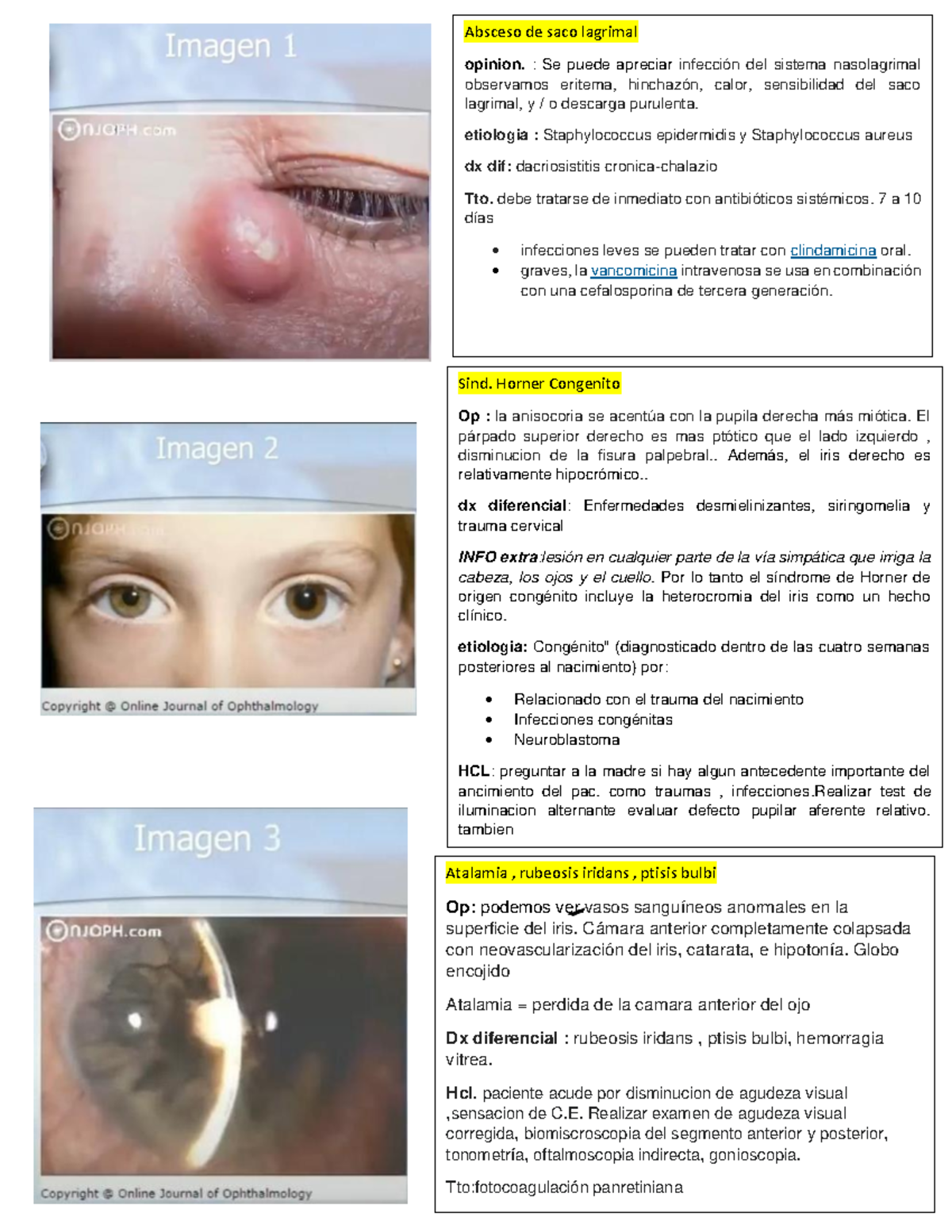Practica oftalmo 1al10 - Absceso de saco lagrimal opinion. : Se puede ...