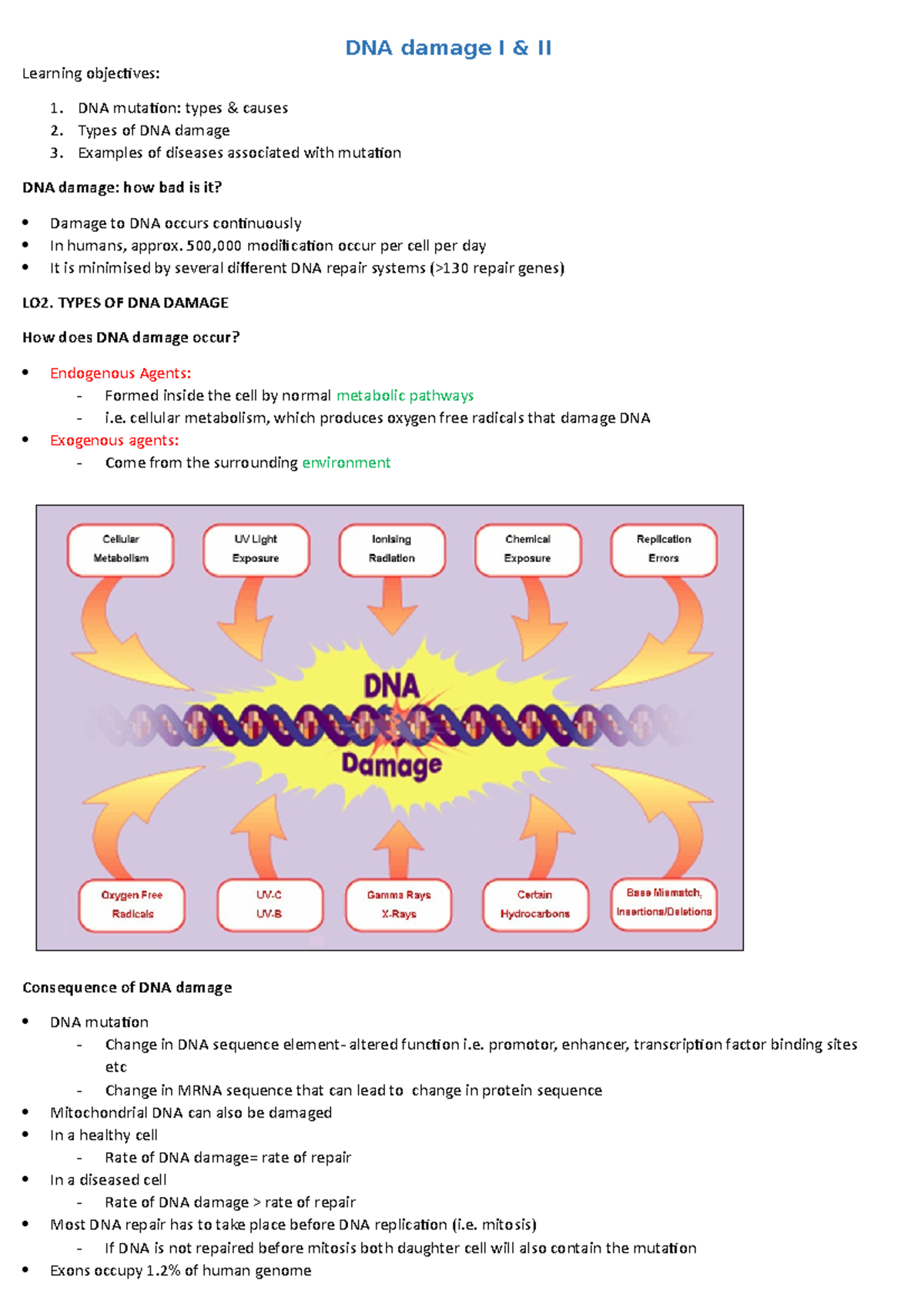 3. Week 10 Notes - DNA damage I & II Learning objecives: DNA mutaion ...