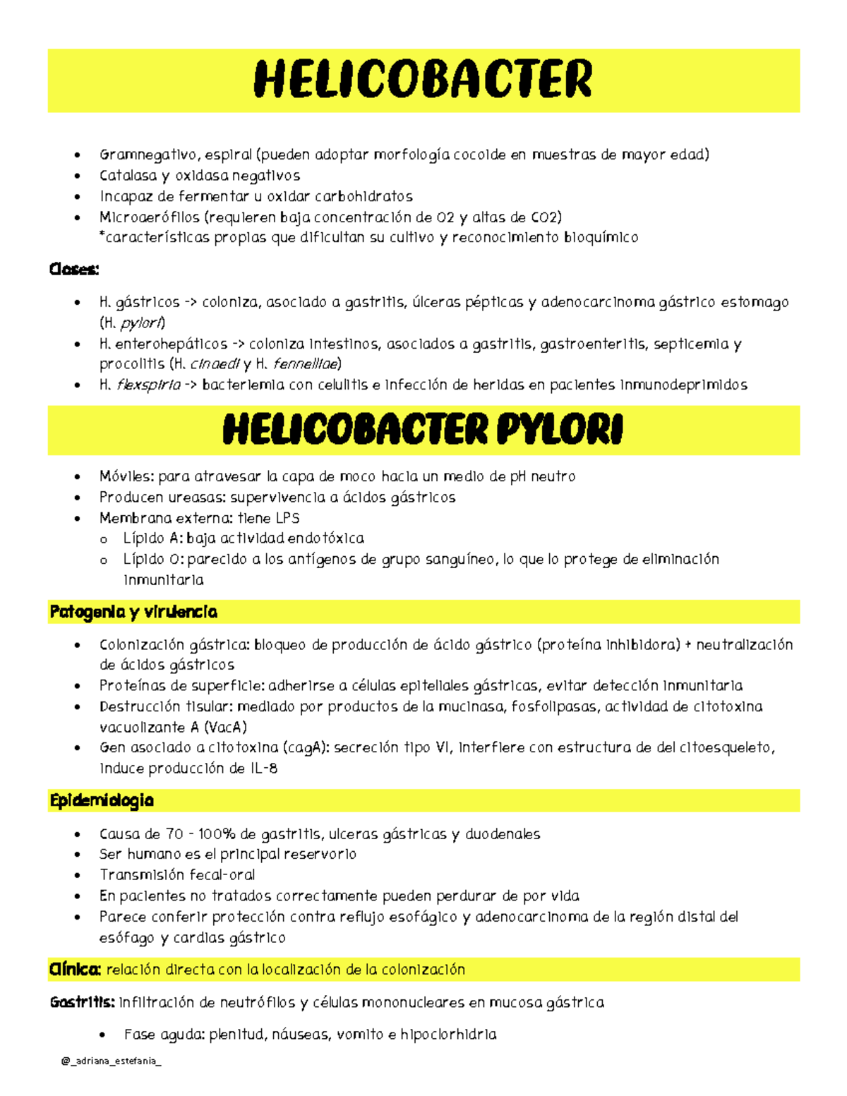 Helicobacter - HELICOBACTER Gramnegativo, espiral (pueden adoptar ...