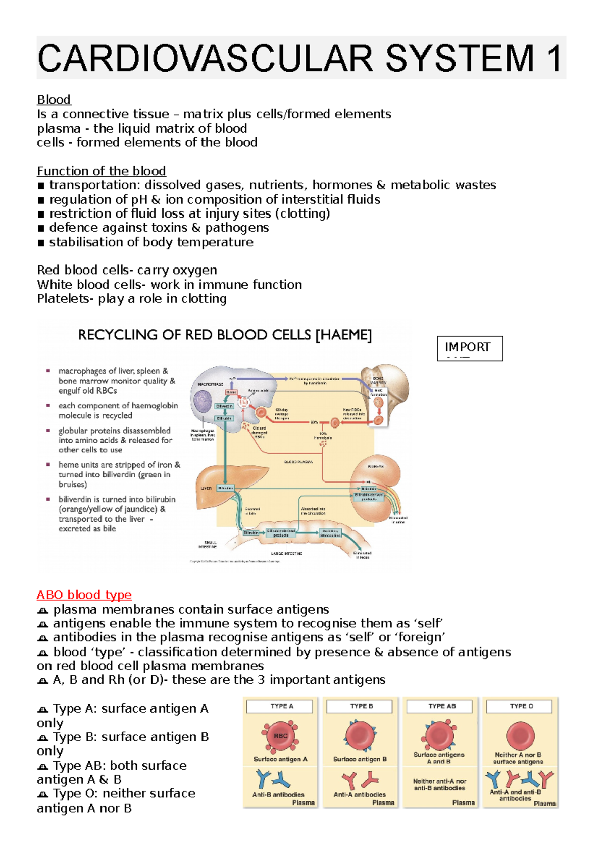 Cardiovascular System 1 - CARDIOVASCULAR SYSTEM 1 Blood Is a connective ...