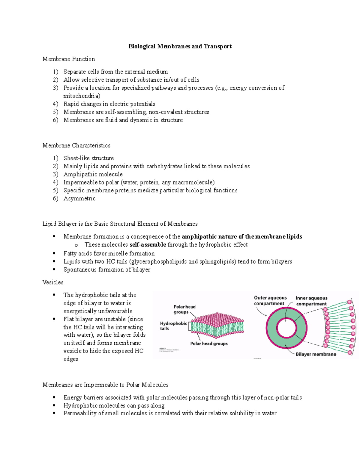 Chapter 9 - Scott Napper Notes - Biological Membranes and Transport ...