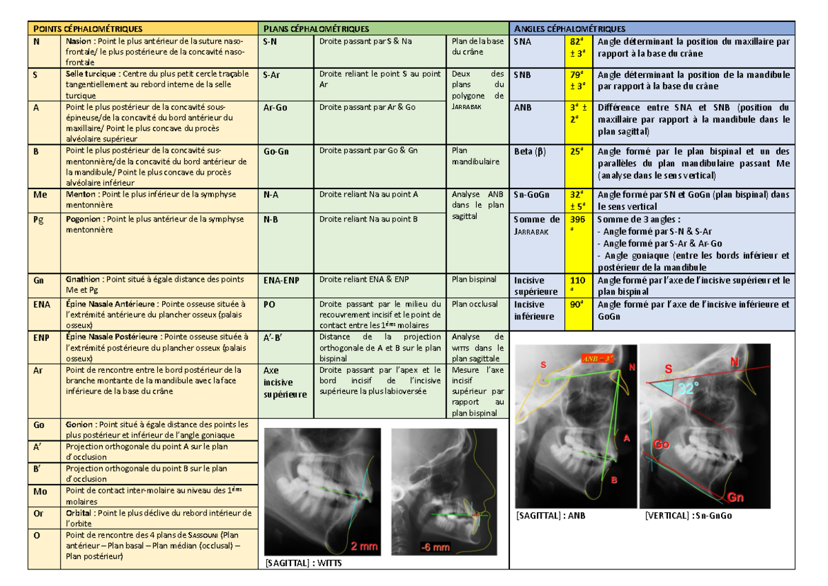 Examen-céphalométrique - POINTS PLANS ANGLES Nasion : Point le plus de ...