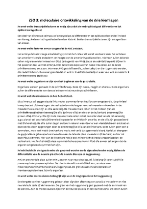 Ontwikkeling van de ledematen - .. sclerotoom, neurale crest, neurale ...