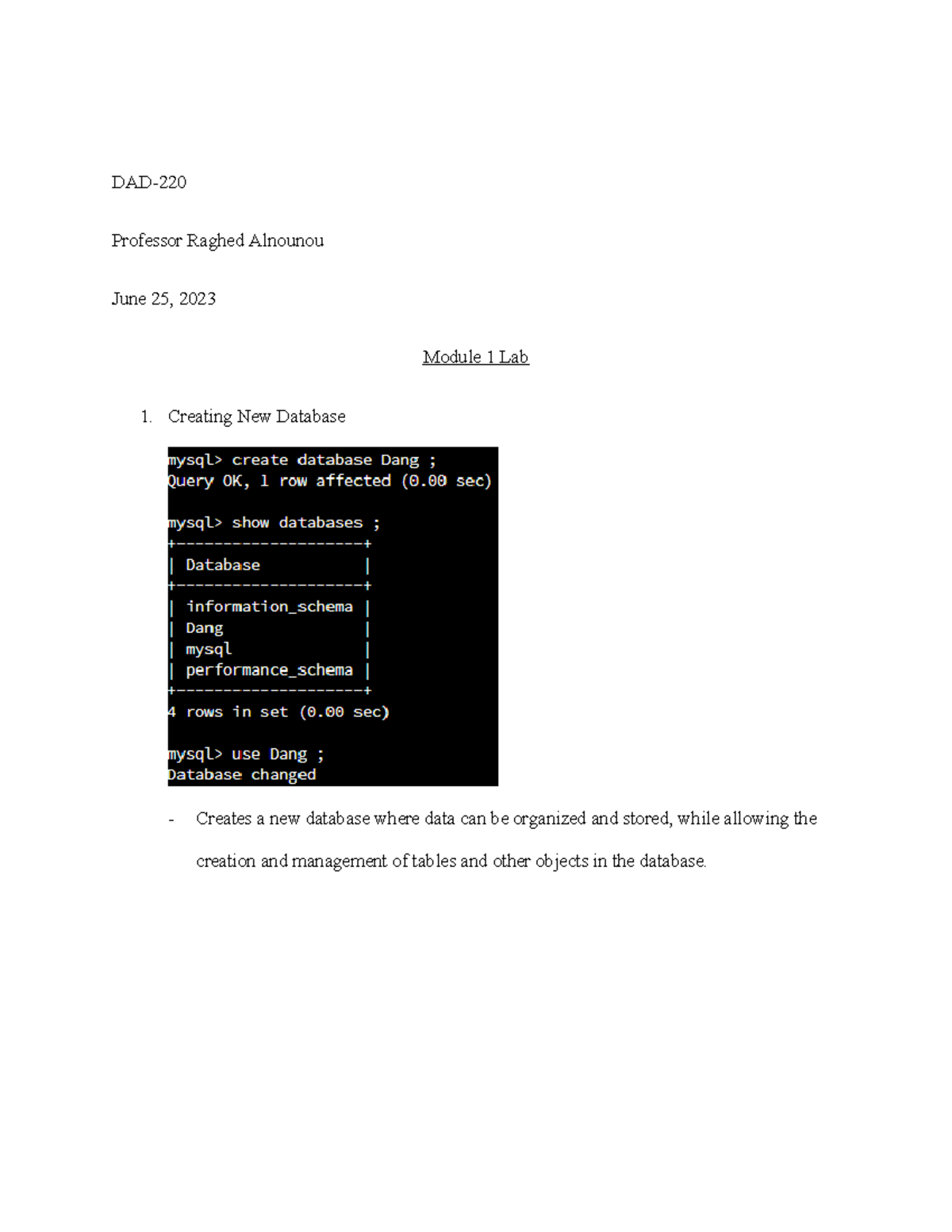 DAD - 220 Module 1 Lab - DAD-220 - DAD- Professor Raghed Alnounou June 25, 2023 Module 1 Lab ...