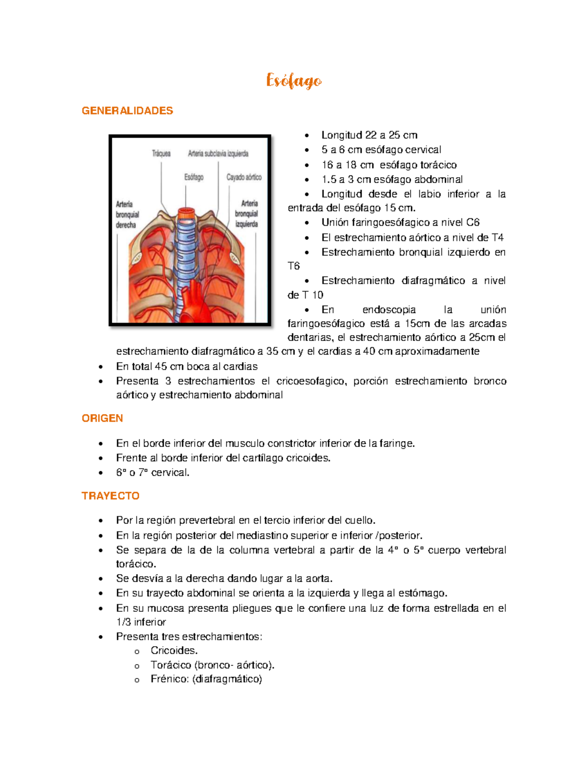 Esófago 1 - Esófago GENERALIDADES Longitud 22 a 25 cm 5 a 6 cm esófago ...