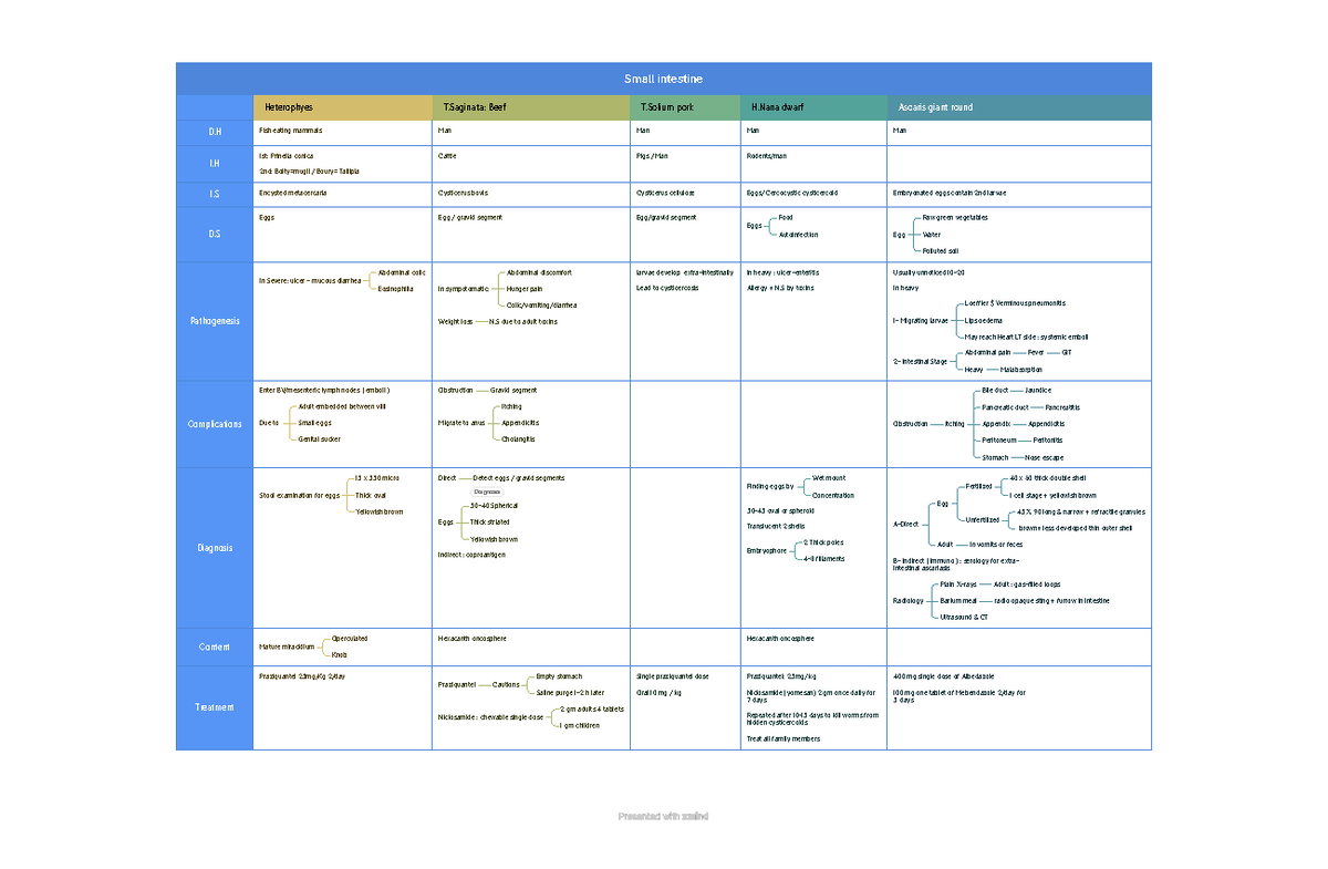 Parasitology 1 - Summary Medical notes - Small intestine Heterophyes ...