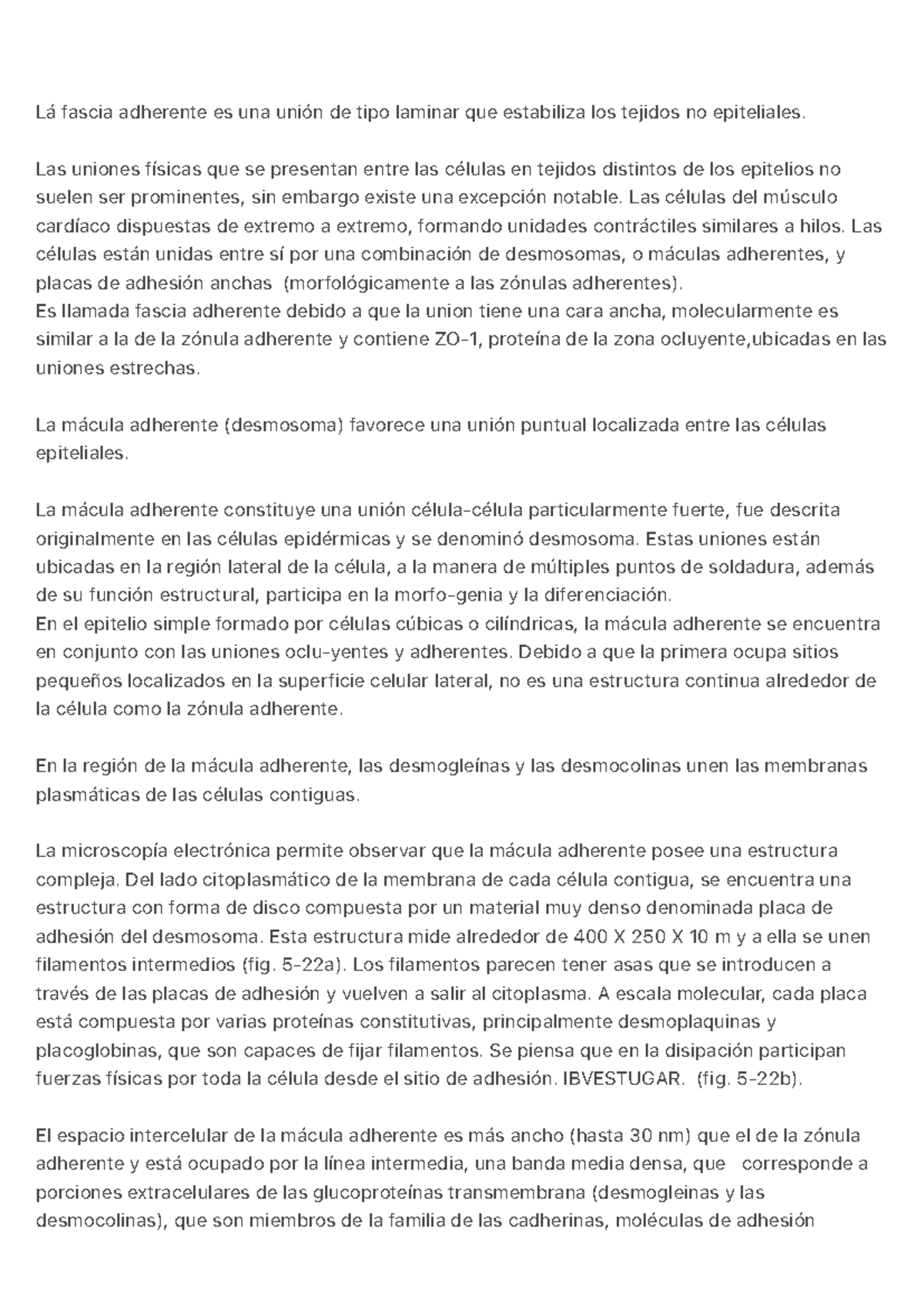 Lá fascia adherente es una unión de tipo laminar - Las uniones físicas ...