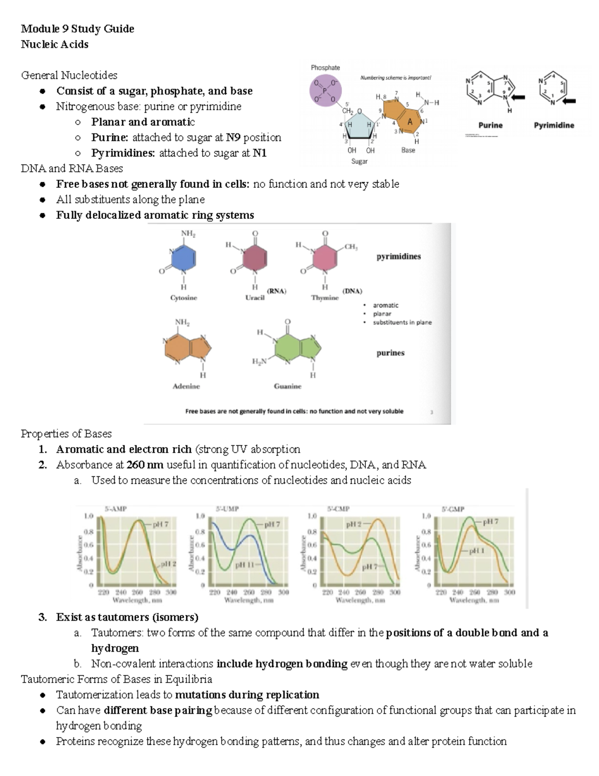 Module 9 Study Guide - Module 9 Study Guide Nucleic Acids General Nucleotides Consist of a sugar ...