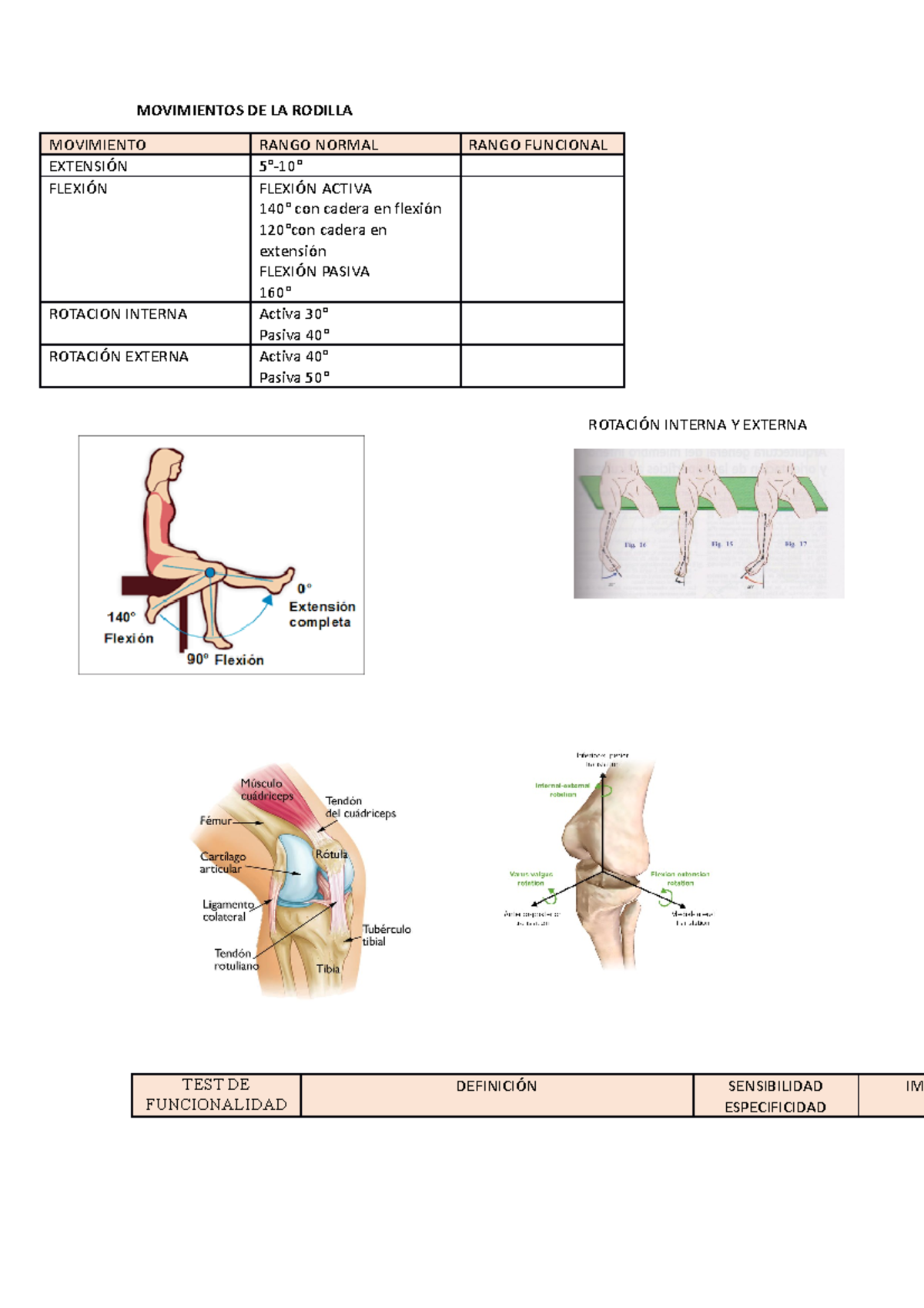 Movimiento DE LA Rodilla - MOVIMIENTOS DE LA RODILLA ROTACIÓN INTERNA Y ...