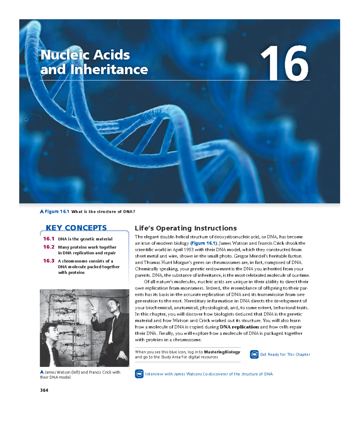 Chapters 16&17 - Campbell book - 364 Key ConCepts 16 DNA is the genetic ...