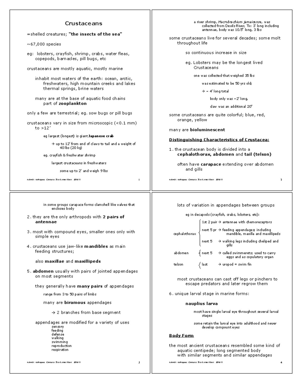 Arthropods-Crustacea - Animals: Arthropoda - Crustacea; Ziser Lecture ...