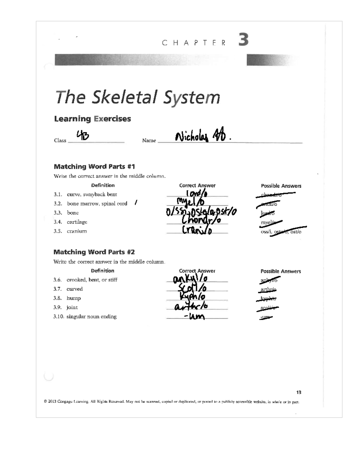 Ch. 3 Key - Bangert - CHAPTER The Skeletal System Learning Exercises ...