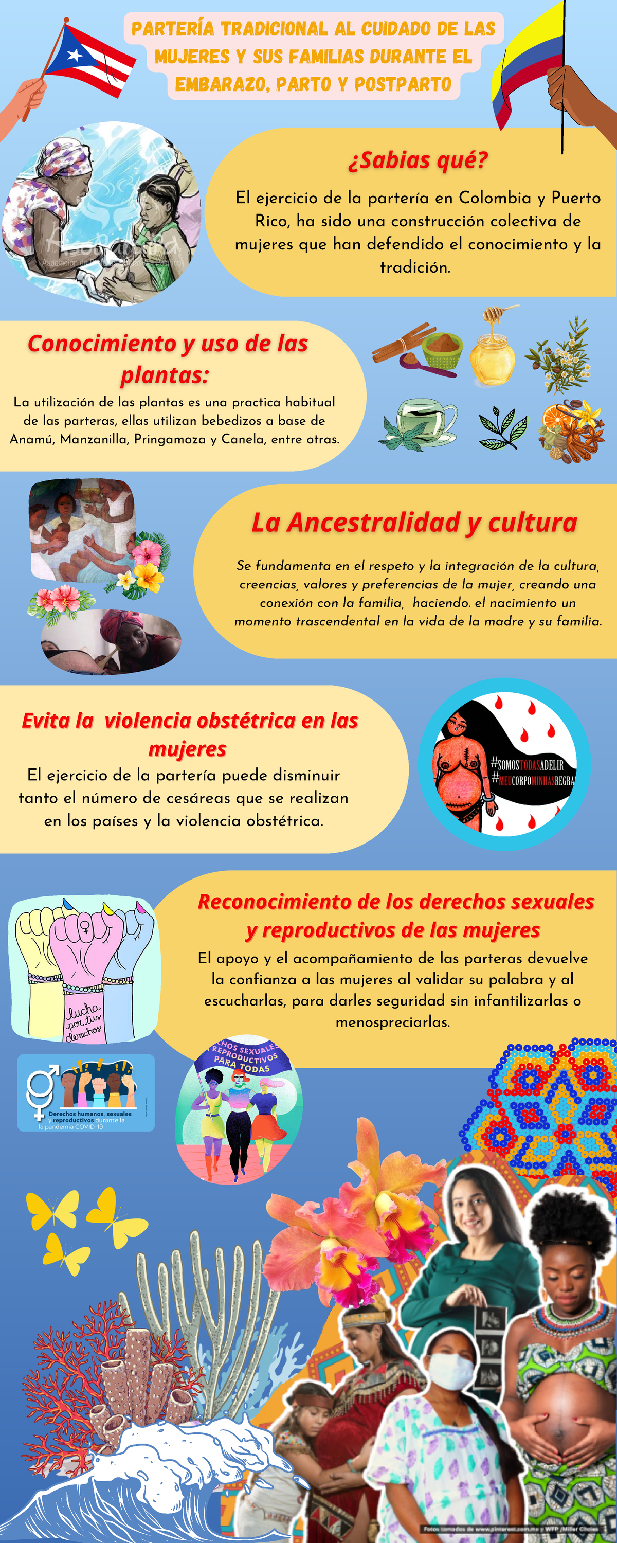 Partería tradicional al cuidado de las mujeres y sus familias durante ...