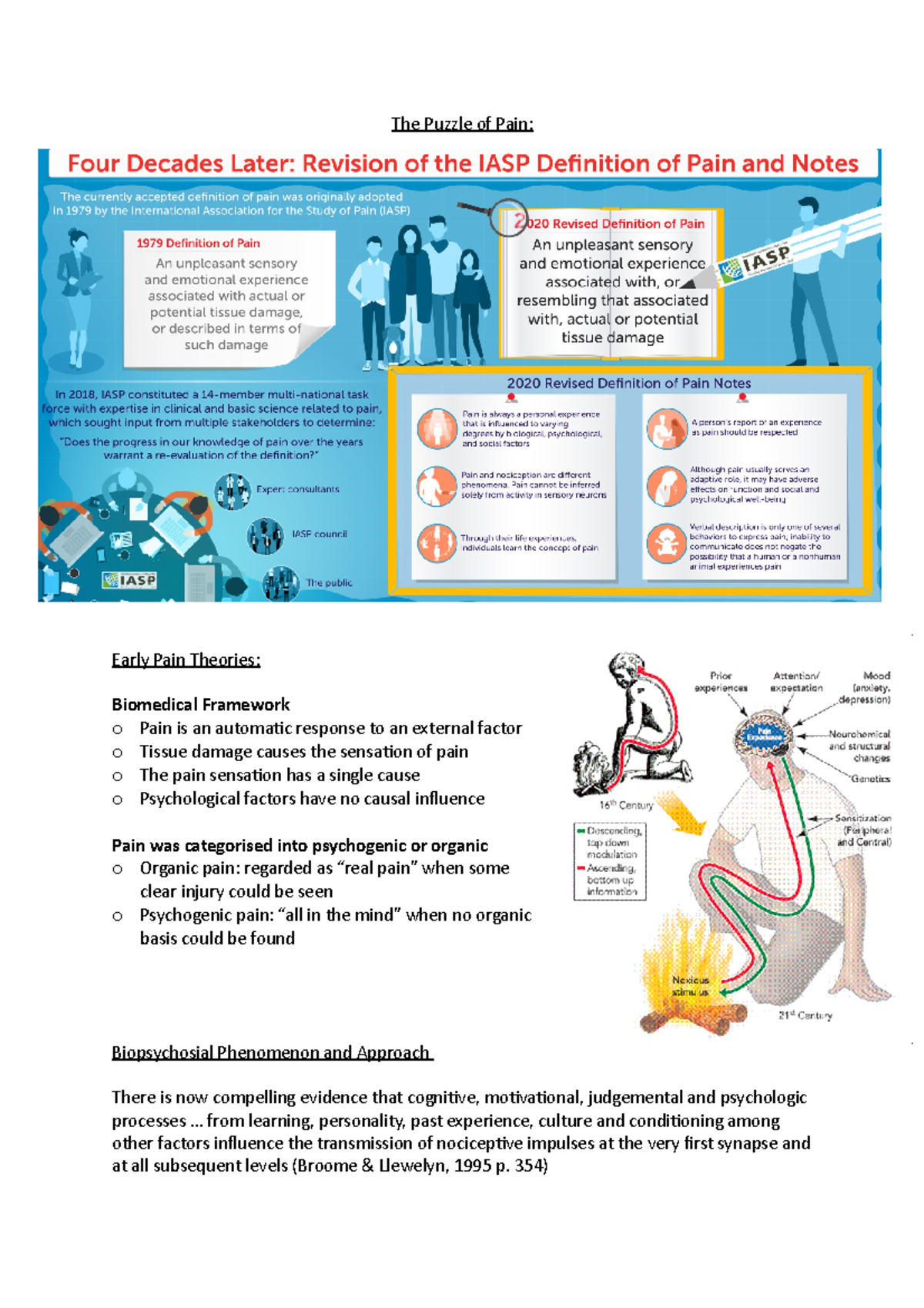 The Puzzle of Pain - The Puzzle of Pain: Early Pain Theories ...