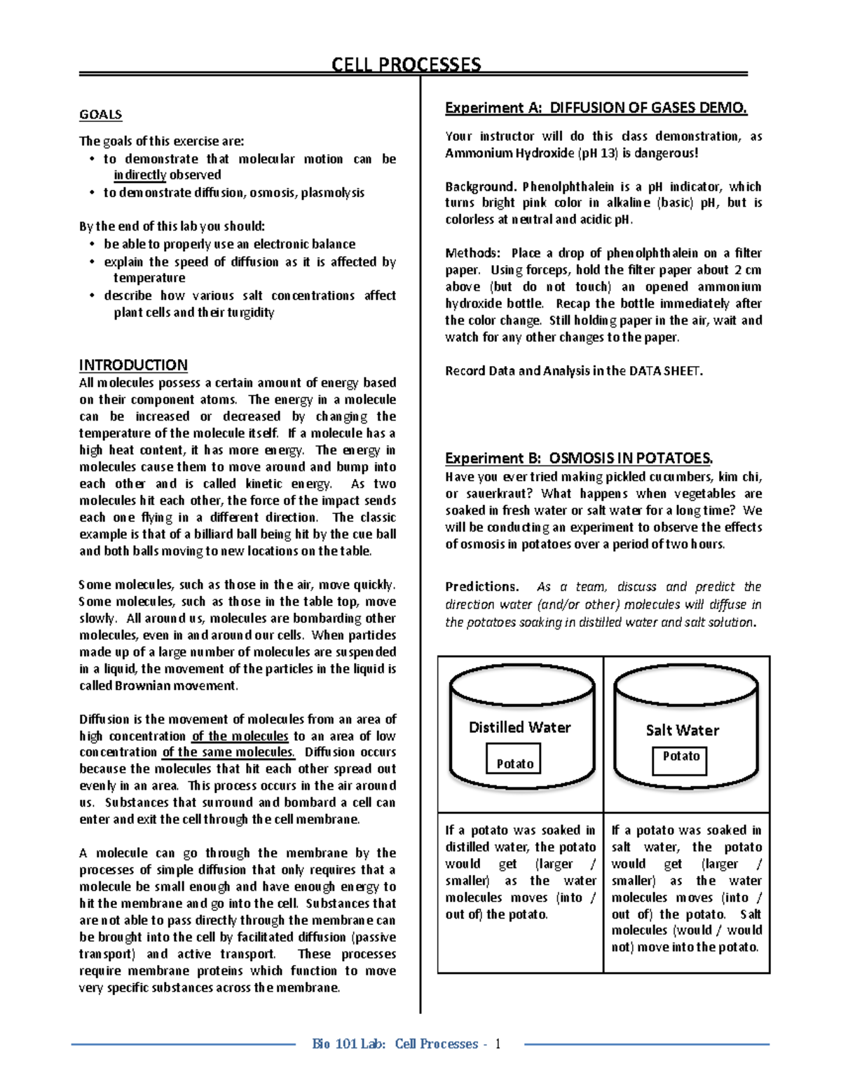 Cell Processes - CELL PROCESSES GOALS The goals of this exercise are ...