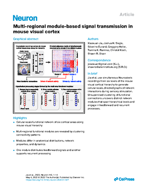 History of Neuroscience - , Egypt – believed the heart held the soul ...