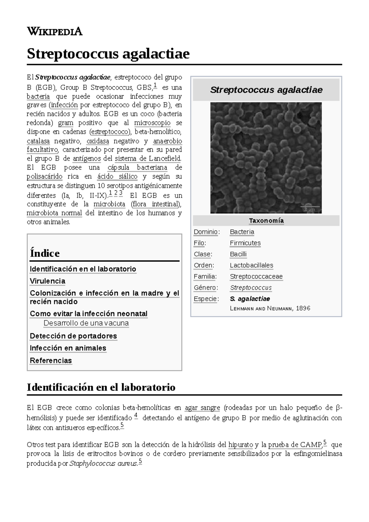 Streptococcus agalactiae - Streptococcus agalactiae Taxonomía Dominio ...