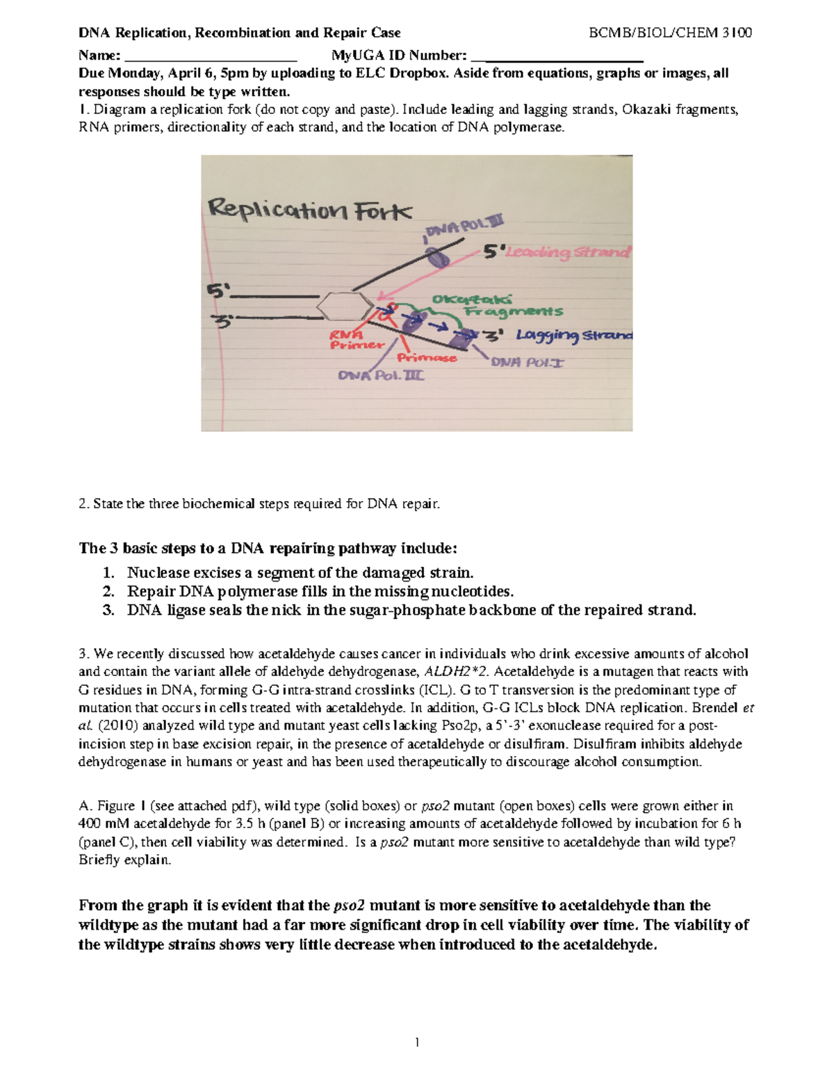 Biochem RRR Case Study - DNA Replication, Recombination and Repair Case ...