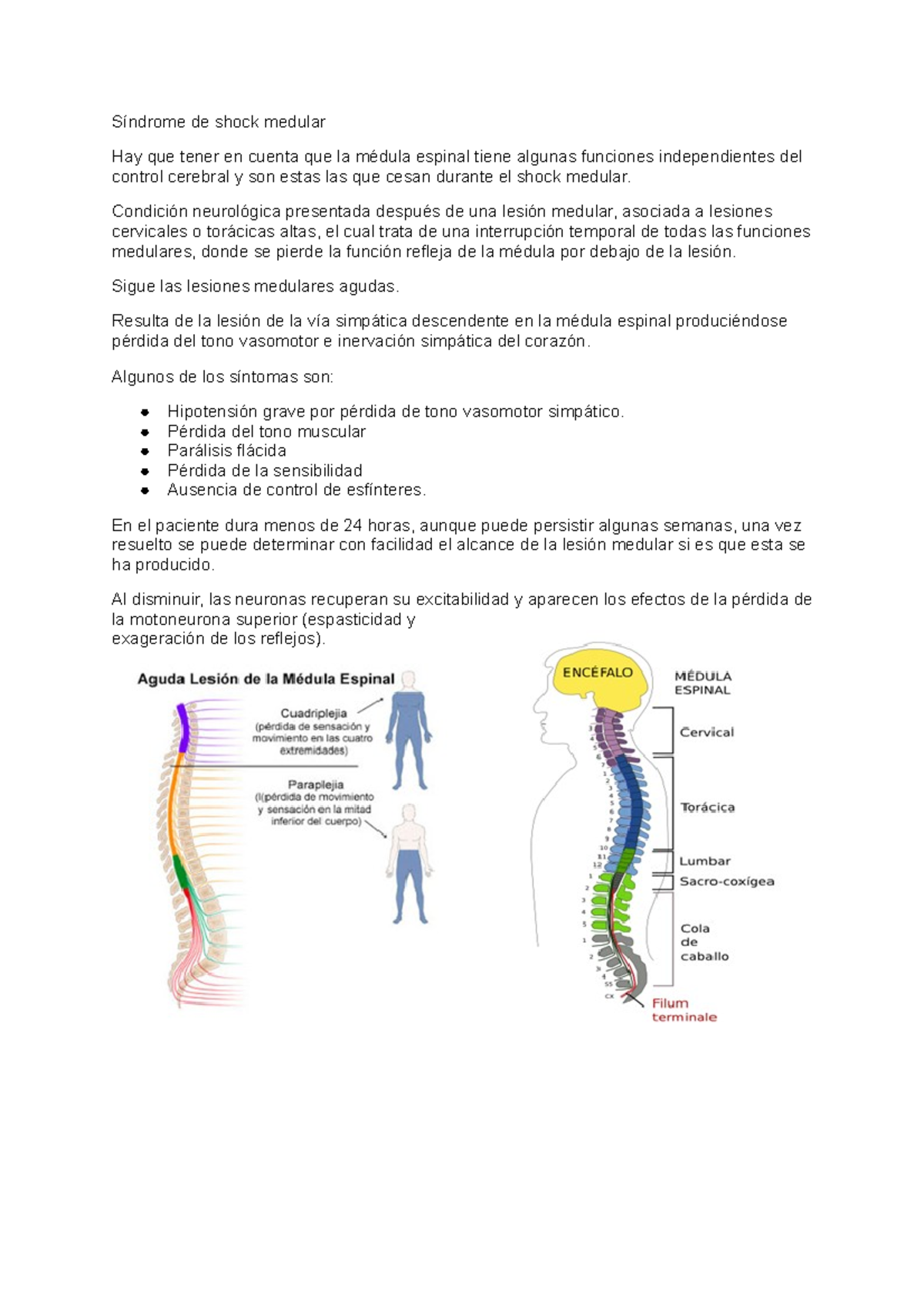 Síndrome de shock medular - Síndrome de shock medular Hay que tener en cuenta que la médula ...