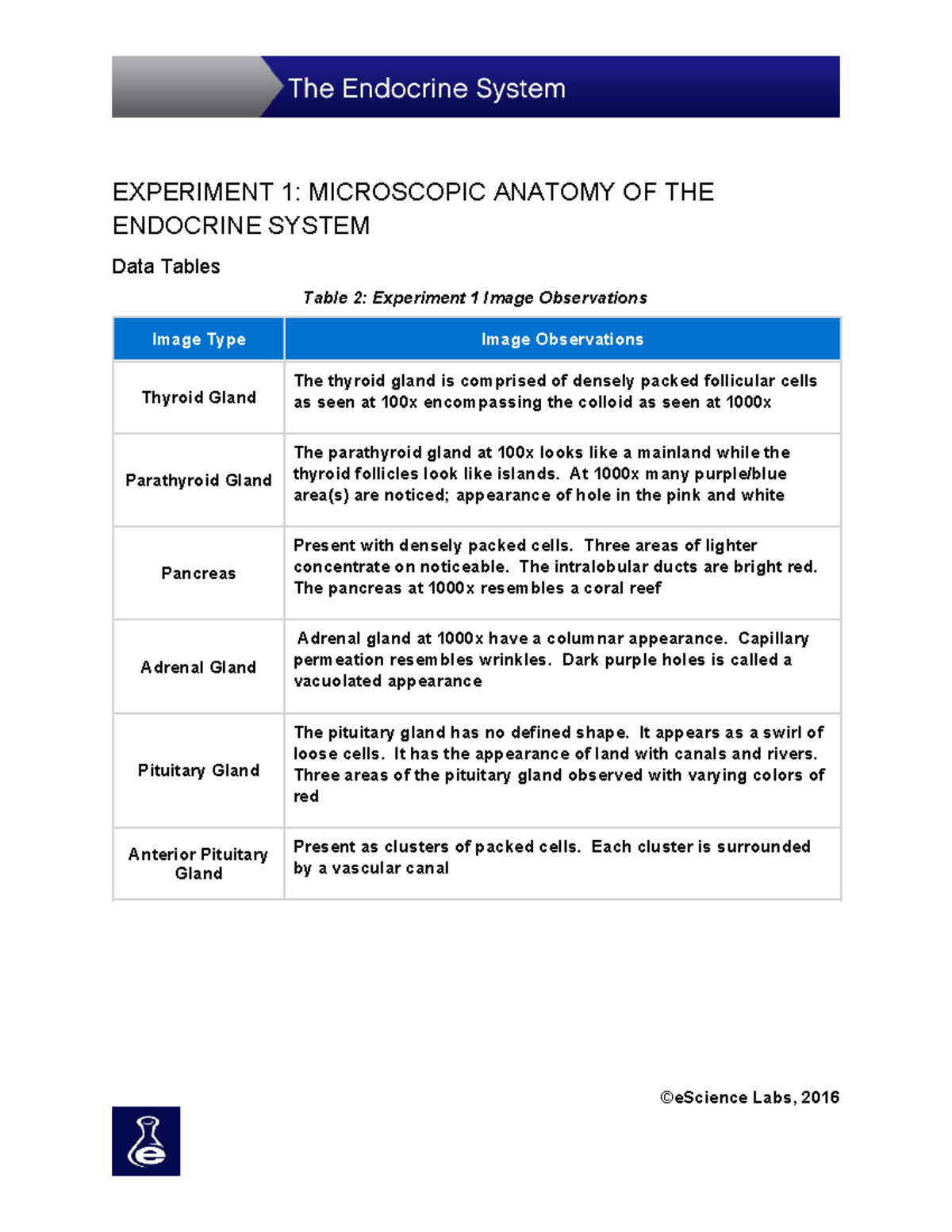 Lab1-Endrocrine-Sp20 - EXPERIMENT 1: MICROSCOPIC ANATOMY OF THE ...