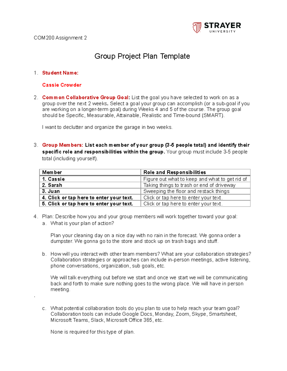 Cf Group Project Plan - COM201 - Strayer - Studocu