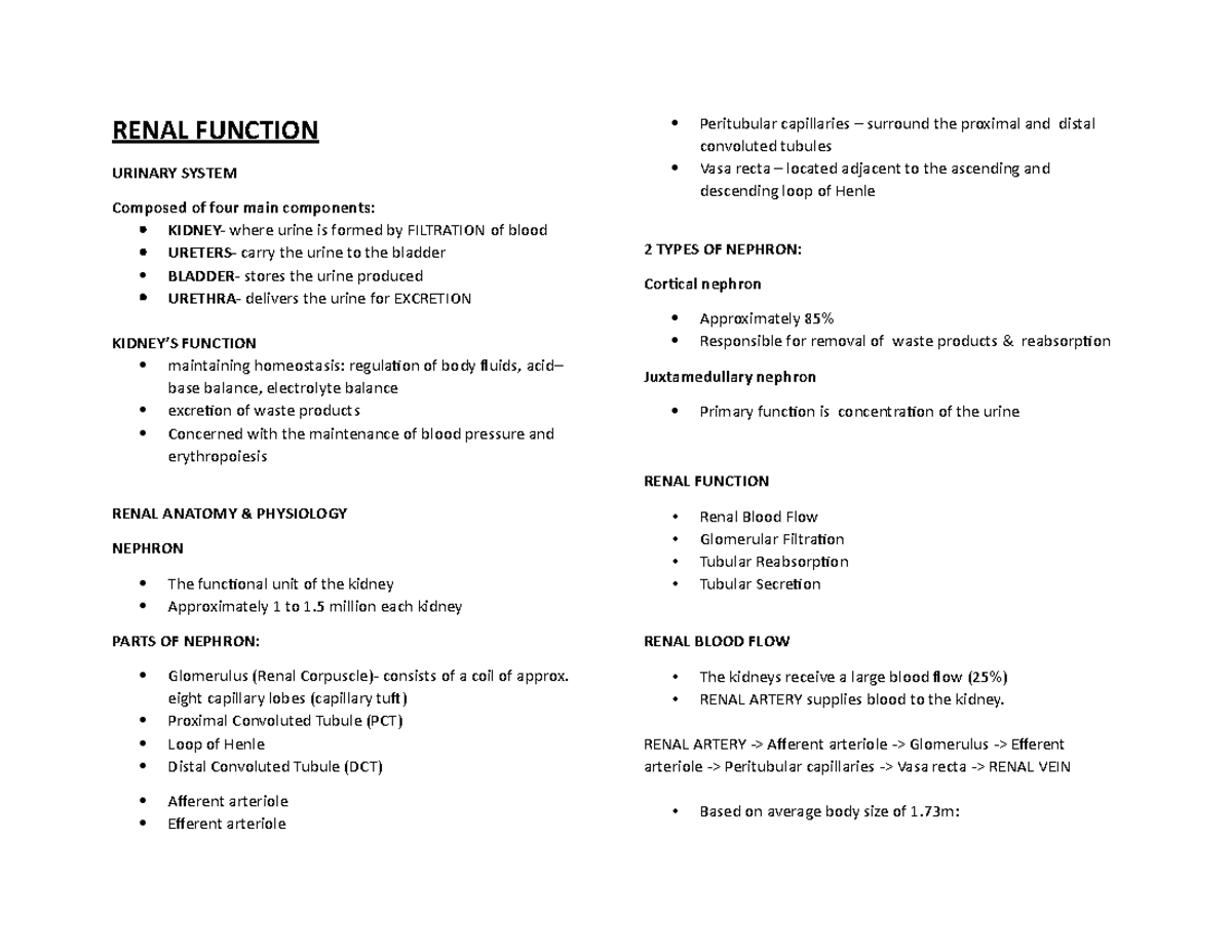 AUBF-Renal Function - RENAL FUNCTION URINARY SYSTEM Composed of four main components: KIDNEY ...