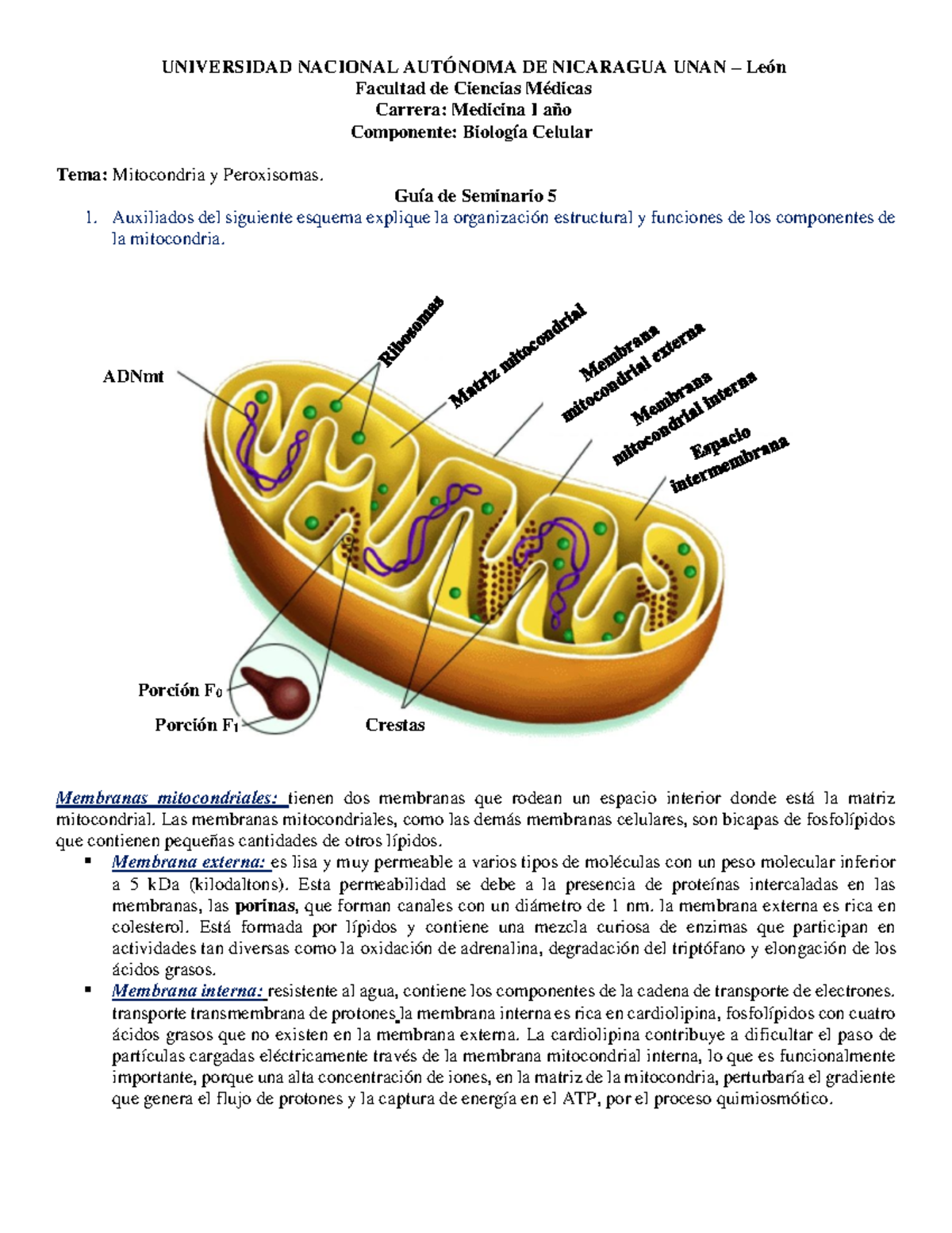 Resumen de La Mitocondria (curso de Biología celular) - UNIVERSIDAD NACIONAL AUTÓNOMA DE ...