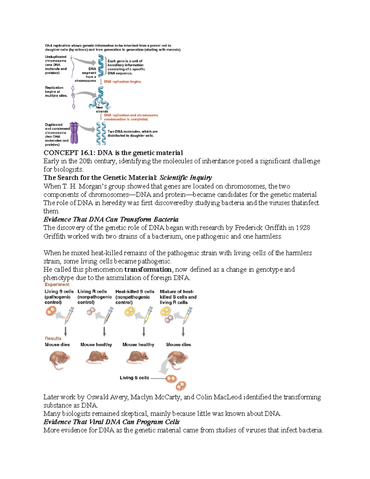 Campbell Biology In Focus 3rd Edition Notes Pdf