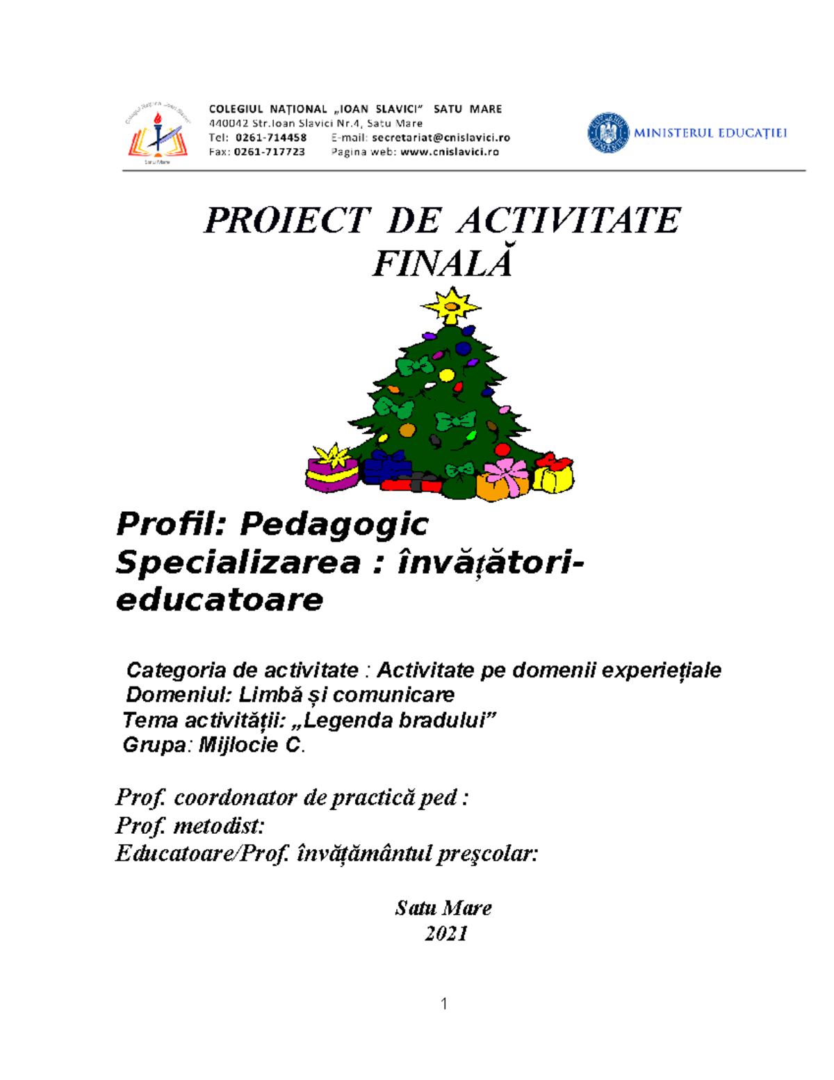Proiect de activitate finală - PROIECT DE ACTIVITATE FINALĂ Profil ...