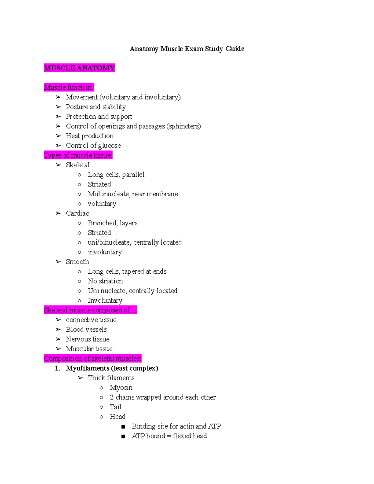 Anatomy Muscle Exam Study Guide - BIO 1205 - Villanova - Studocu