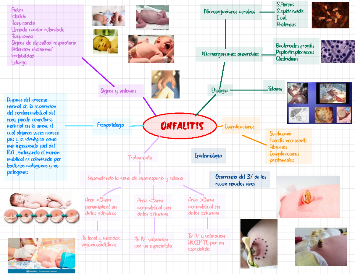 Onfalitis en pediatria - ONFALITIS Signos y sintomas Fiebre Ictericia ...