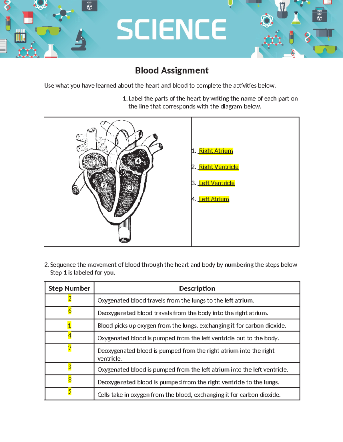 Blood+ Assignment - Blood Assignment Use what you have learned about ...