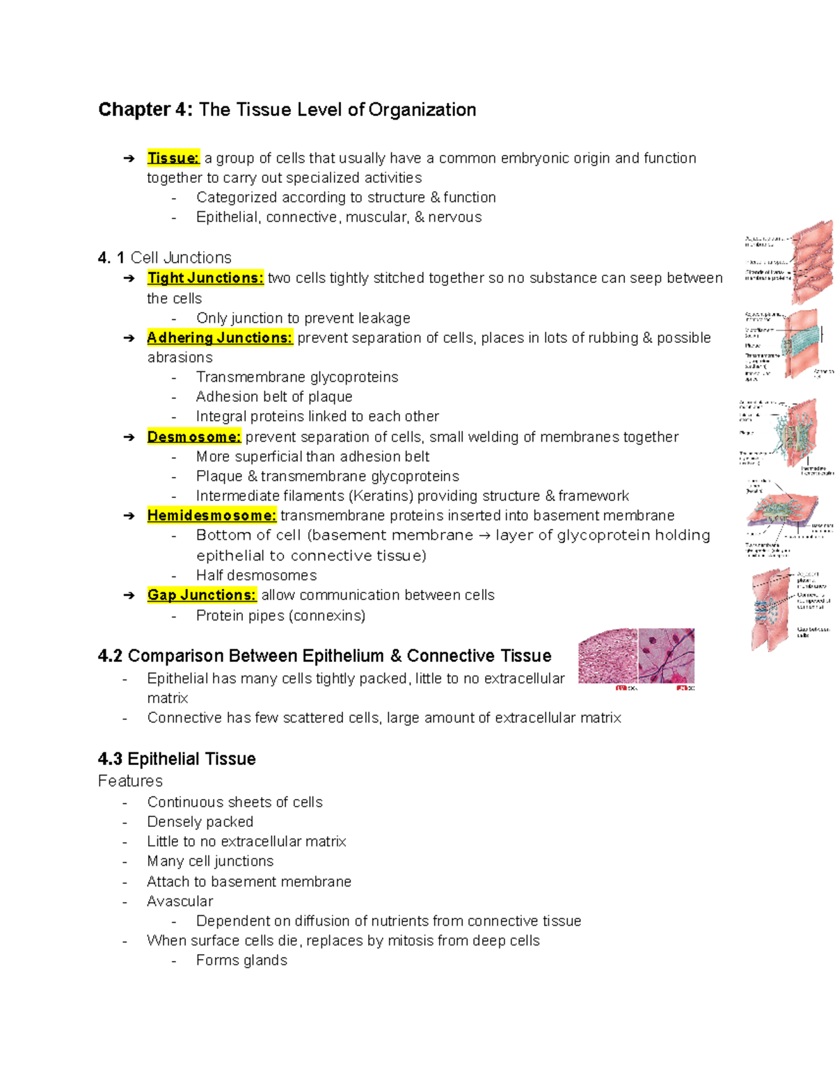 Chapter 4- The Tissue Level of Organization - Deprecated API usage: The ...